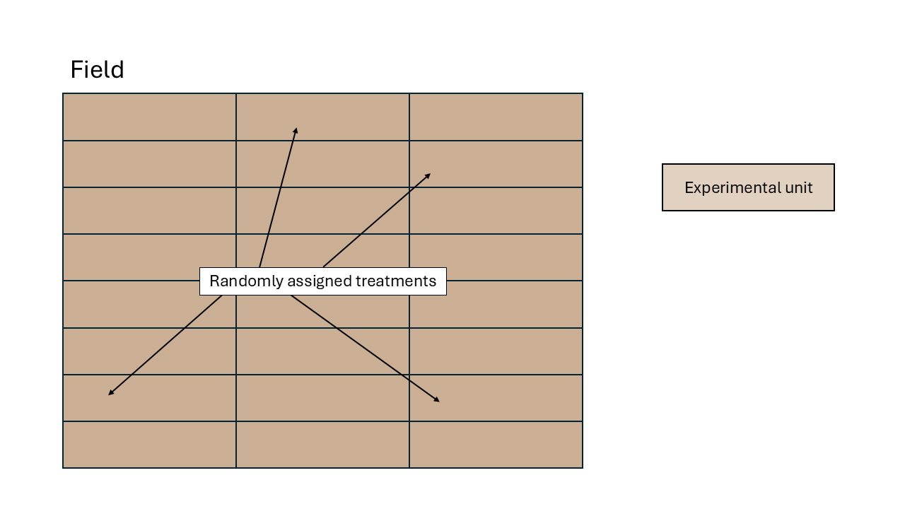 Modeling data generated by designed experiments | Mixed Models Workshop